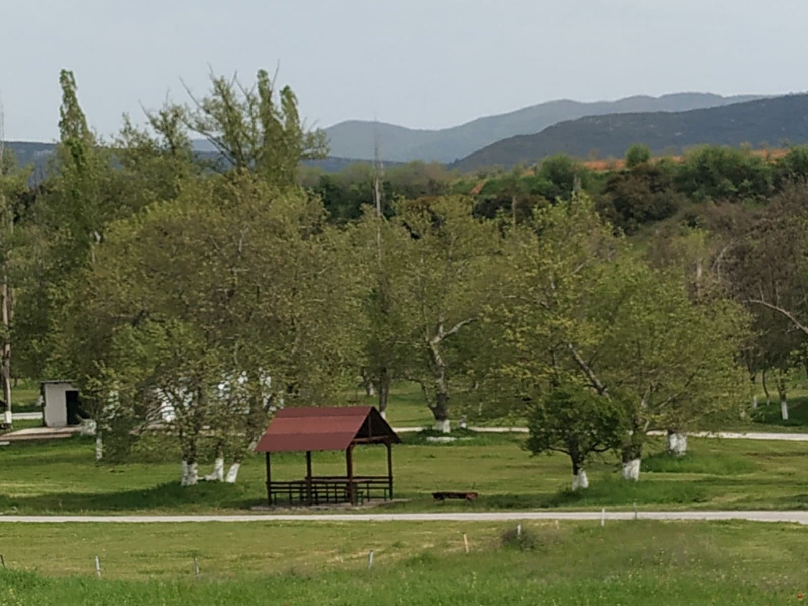 Το πανέμορφο δασάκι της Αδριανής σύντομος προορισμός αναψυχής | dramini