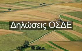 Ψηφιακά και φέτος οι δηλώσεις ΟΣΔΕ 2023 | dramini