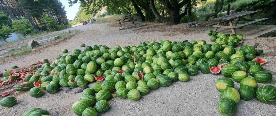 Έκλεψε φορτηγό με καρπούζια για να μεταφέρει λαθρομετανάστες | dramini