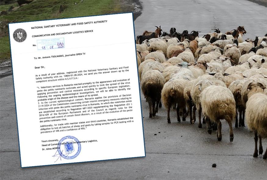 Συνεχίζεται η εισαγωγή αιγοπρόβειου κρέατος από τη Ρουμανία – Φόβοι για ...